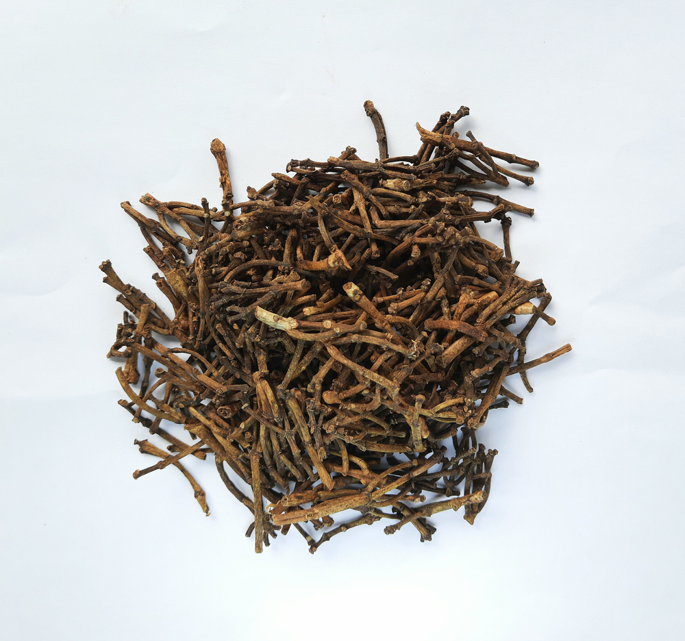 Clove Stem – JBS